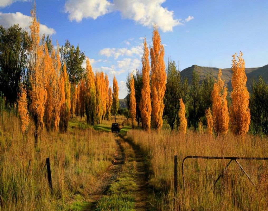 Kissing Lesotho Trail Run Stage Race | Entry Ninja – the best outdoor ...