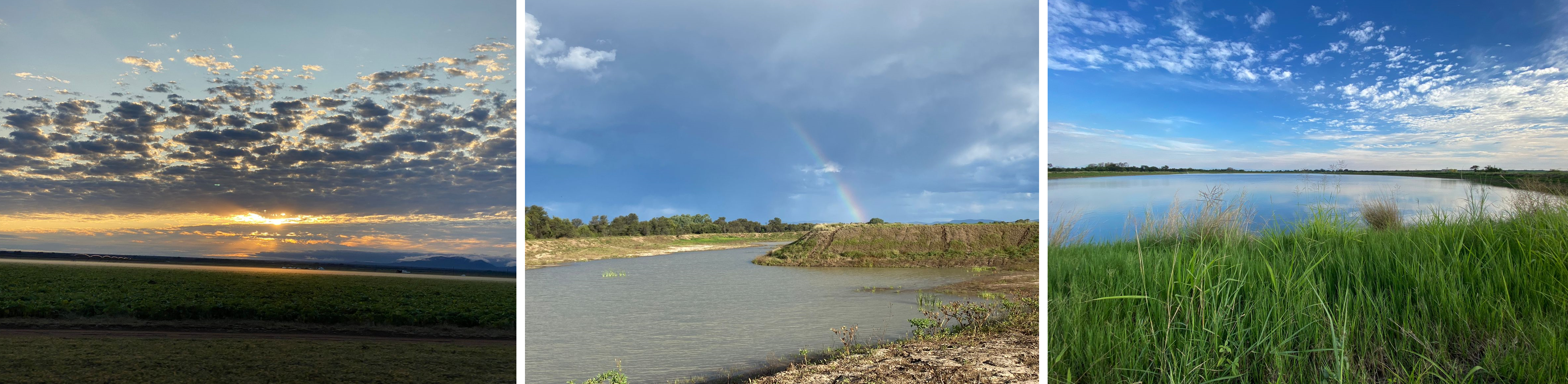 Bushveld Bundu Bash | Entry Ninja – the best outdoor, fitness and ...