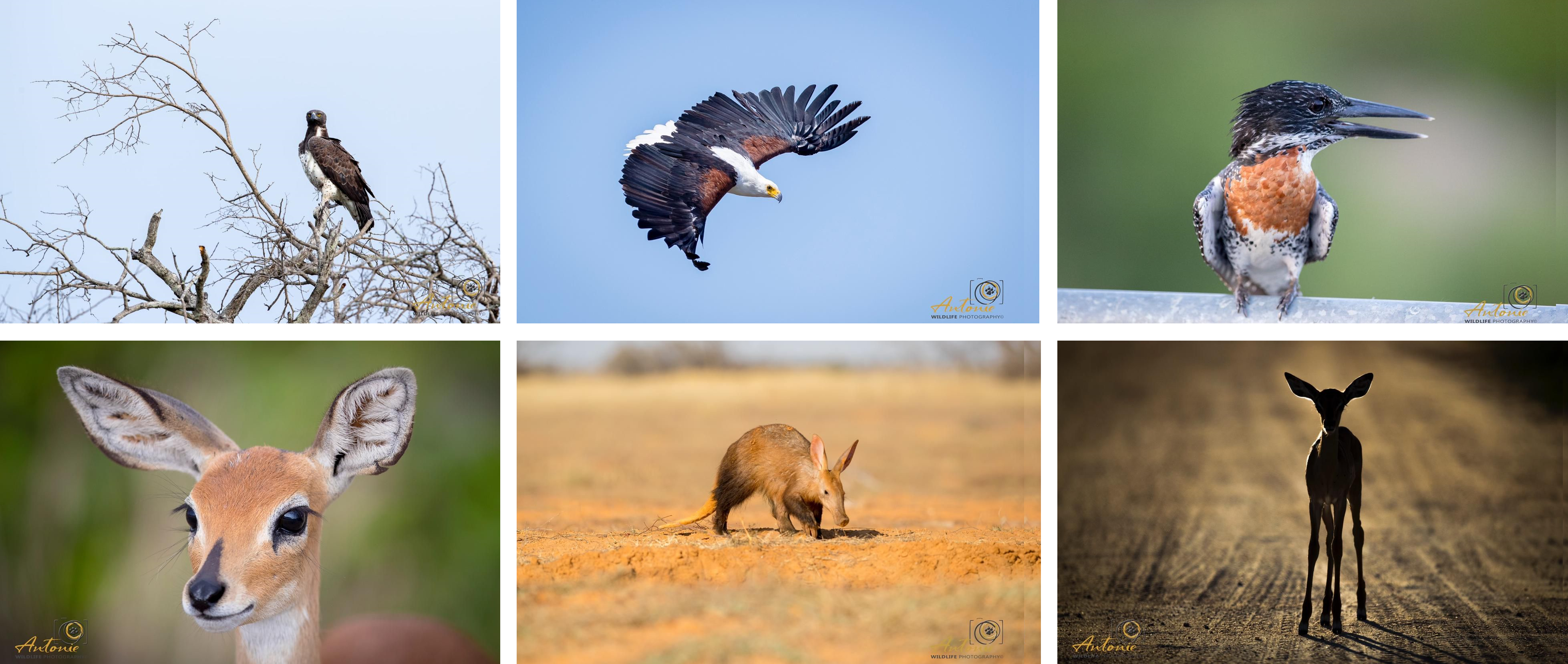 Bushveld Bundu Bash | Entry Ninja – the best outdoor, fitness and ...