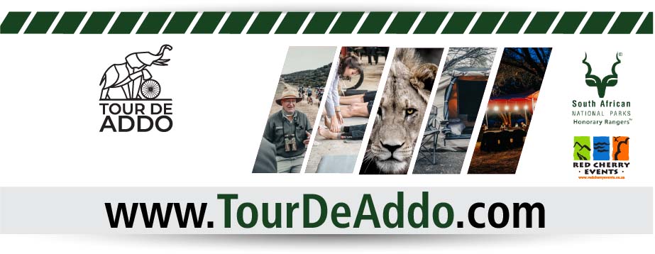 Tour de Addo 2023 | Best of Nyathi | Entry Ninja – the best outdoor ...