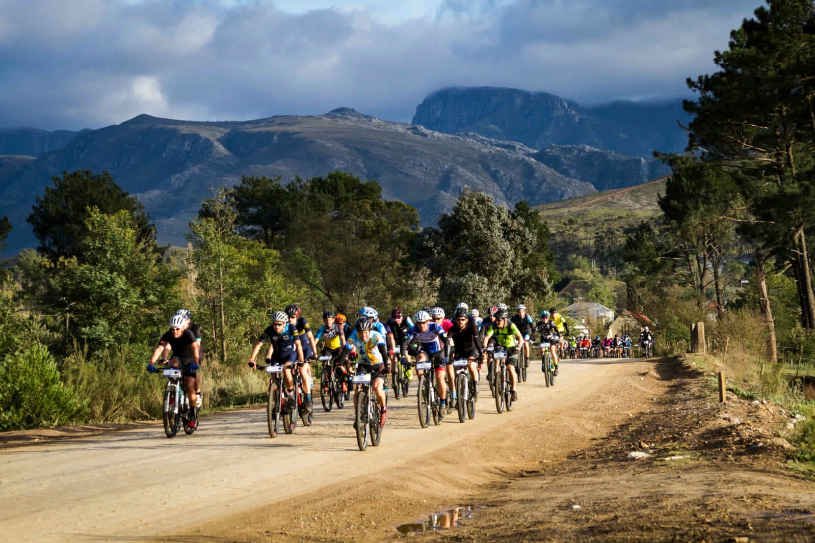 The Canola Roller 2024 | Entry Ninja – the best outdoor, fitness and ...