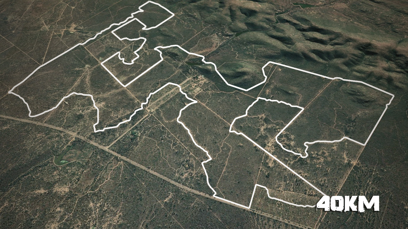 Mabalingwe Lion Man 2023 | Entry Ninja – the best outdoor, fitness and ...