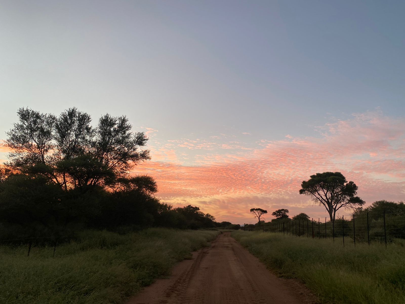 Bushveld Bundu Bash 2023 | Entry Ninja – the best outdoor, fitness and ...