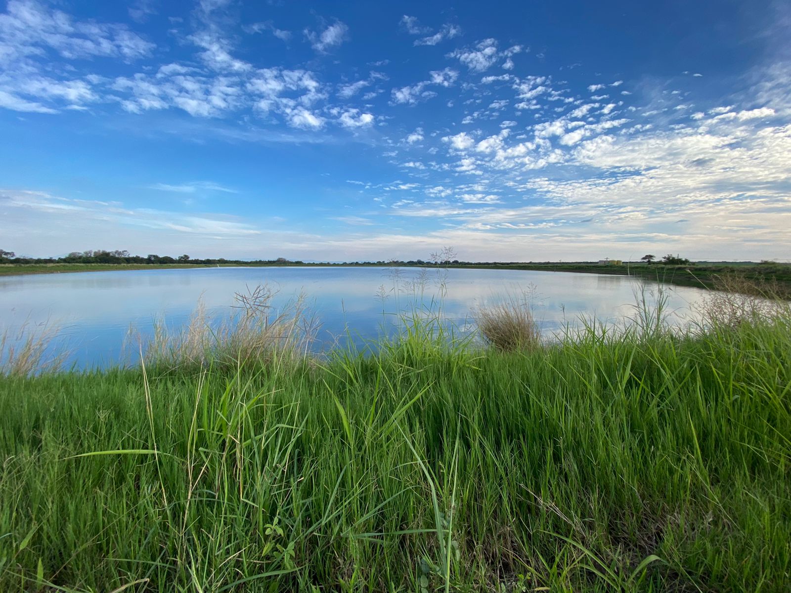 Bushveld Bundu Bash 2023 | Entry Ninja – the best outdoor, fitness and ...