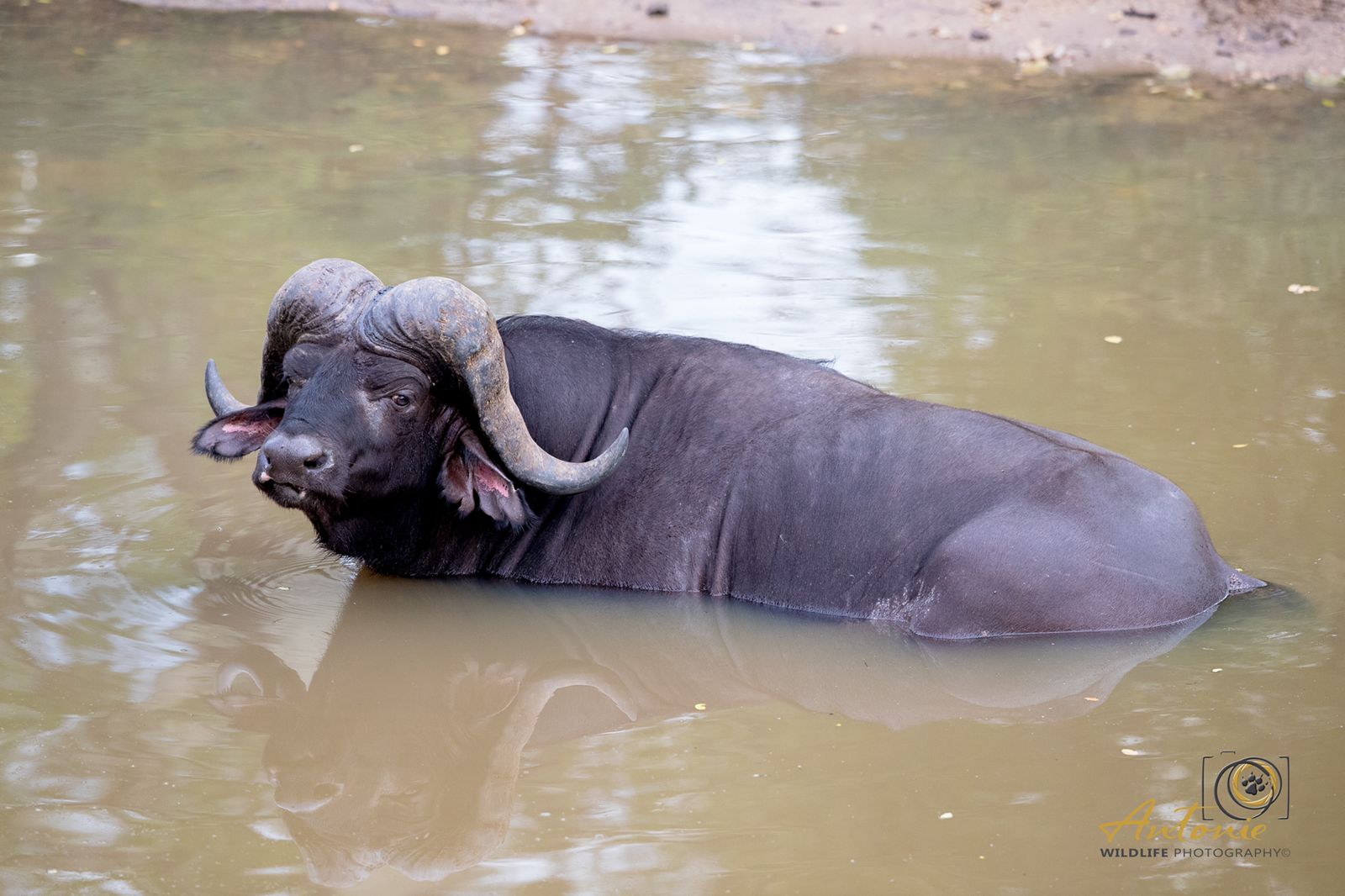 Bushveld Bundu Bash 2023 | Entry Ninja – the best outdoor, fitness and ...