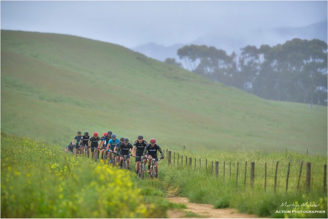 The Newlands Spring, BREW Series Cape Town | Entry Ninja – the best ...