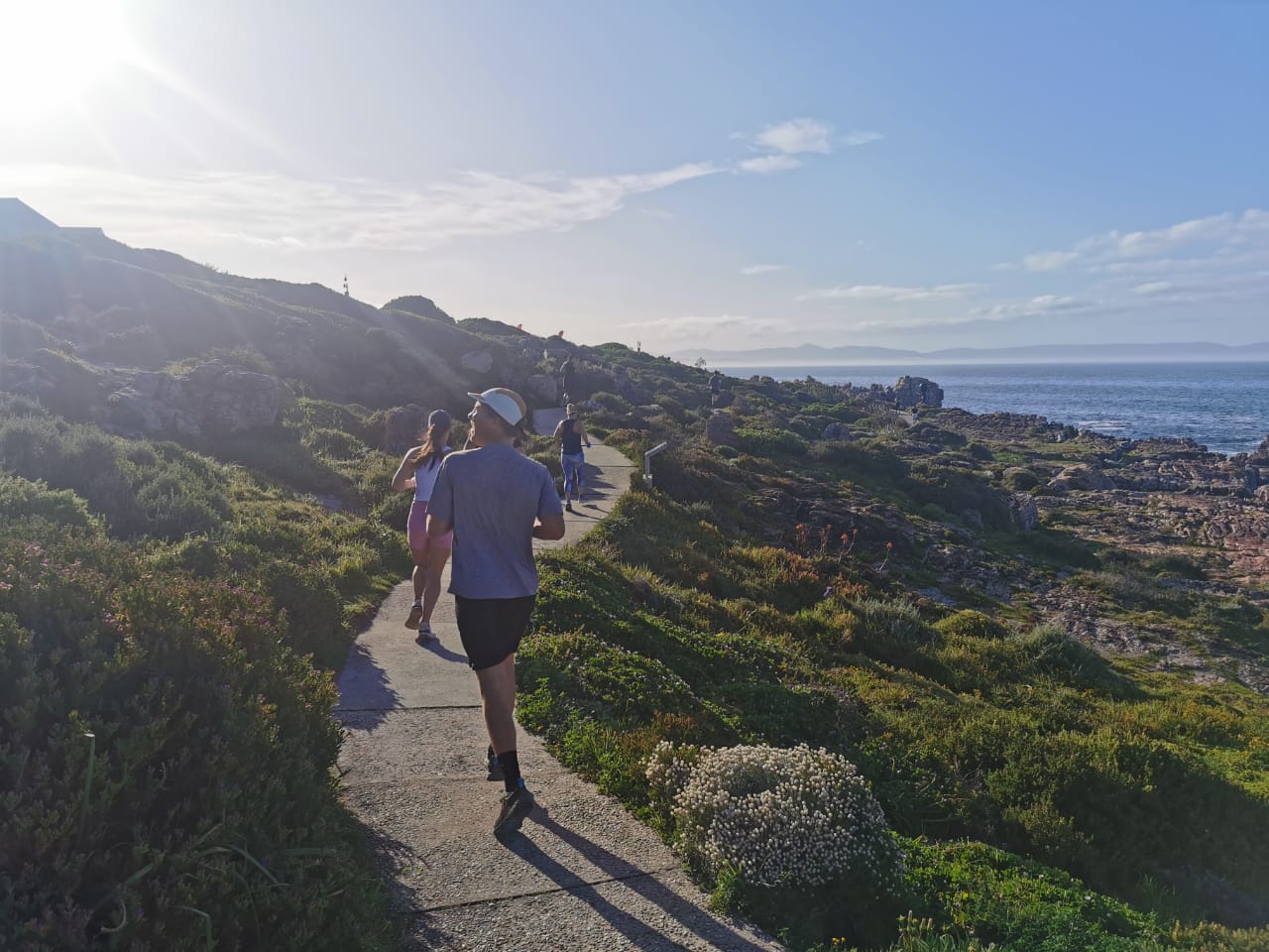 Hermanus Whale Festival Fun Run | Entry Ninja – the best outdoor ...