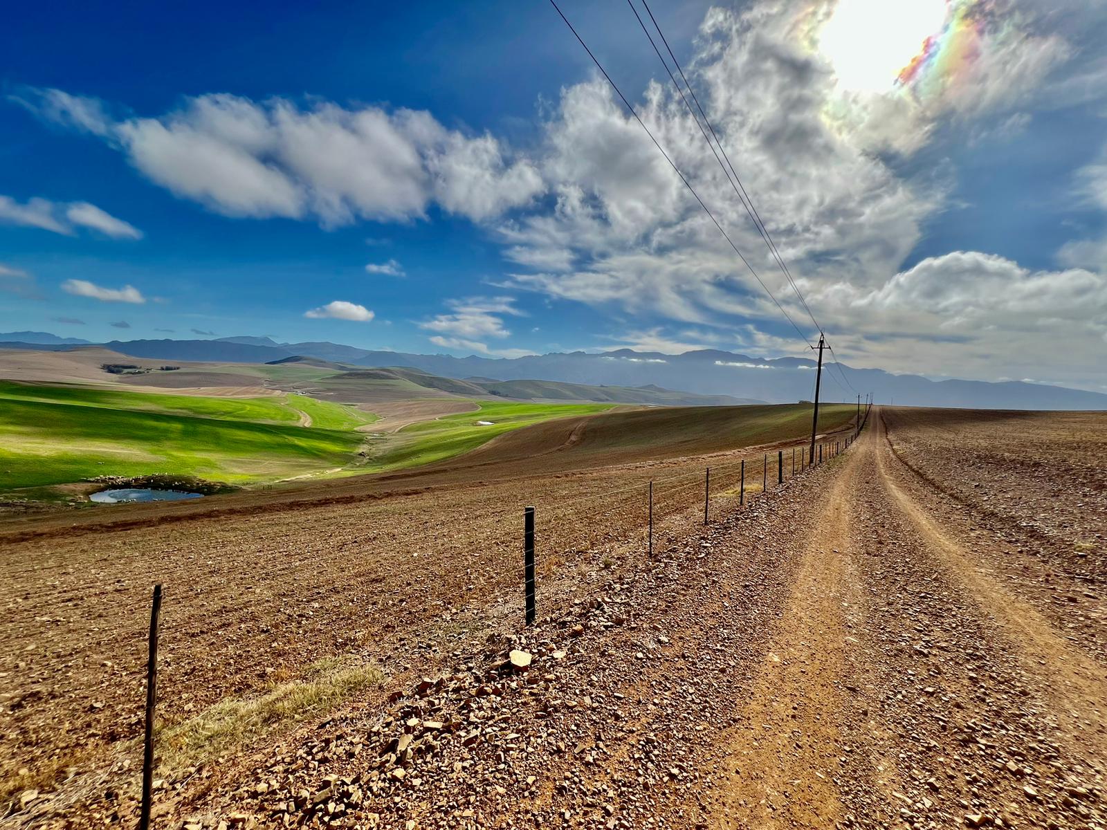 [Event] Canola Roller 2024 Greyton gravel grind - Events - Bike Hub