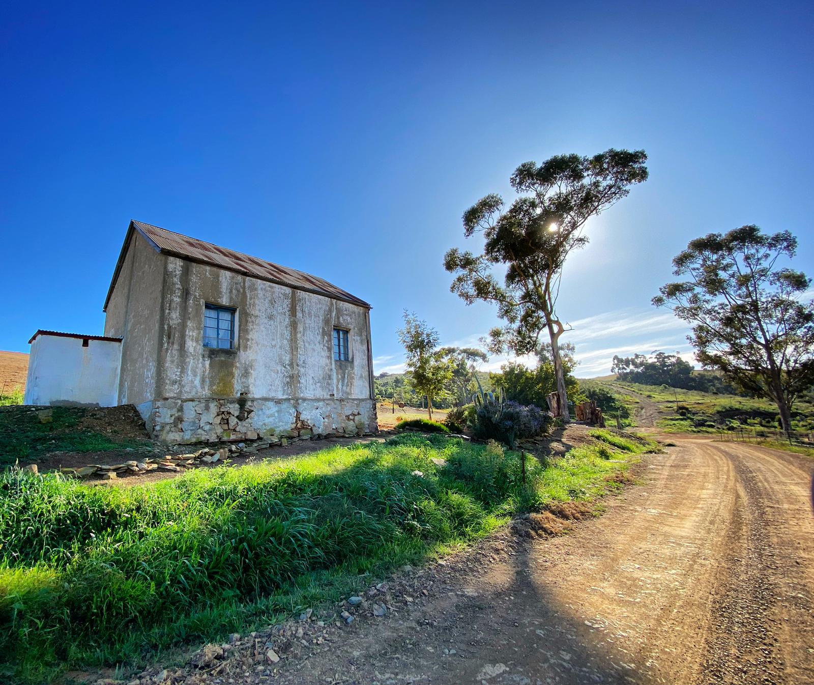 [Event] Canola Roller 2024 Greyton gravel grind - Events - Bike Hub