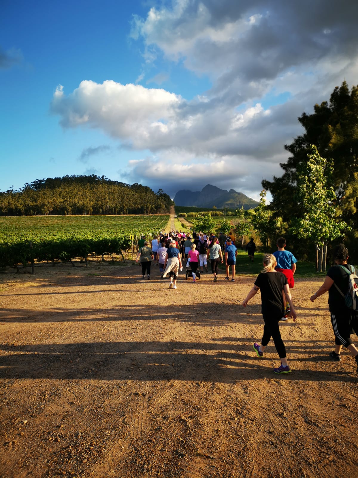 RTV 2025 #3 presented by First Ascent - Anura Vinyeards | Entry Ninja ...