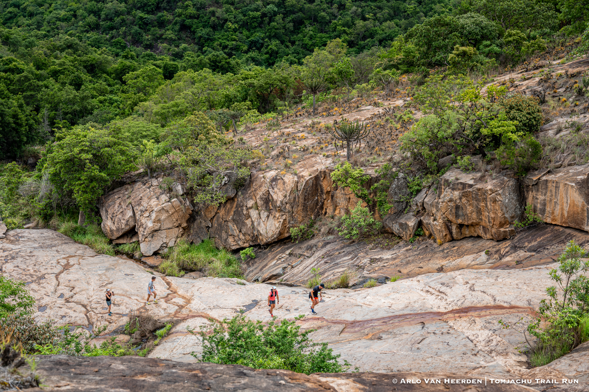 Tomjachu Trail Run | Entry Ninja – the best outdoor, fitness and ...