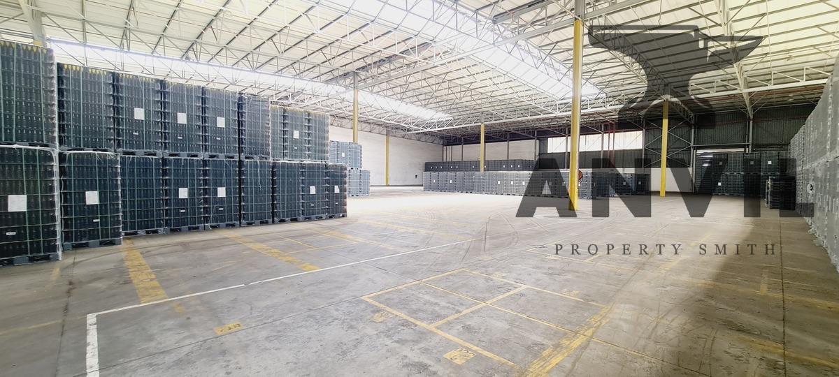 12250sqm Industrial Distribution Warehouse To Let In Montague Gardens - Ideal For Logistics