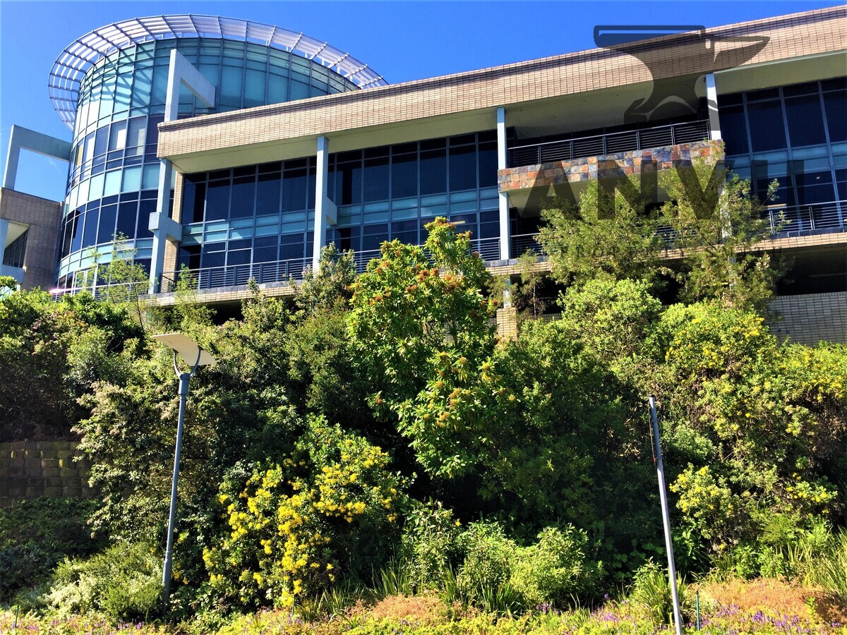 Office Space To Let — Phase 5, ex ABSA, Tygerberg Office Park
