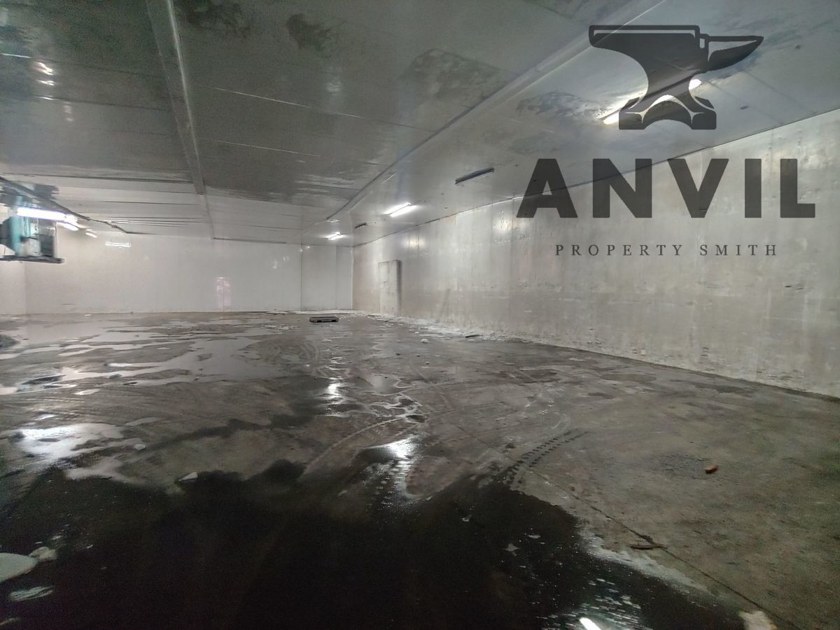 200m2 Cold Storage warehouse to let in Clayville